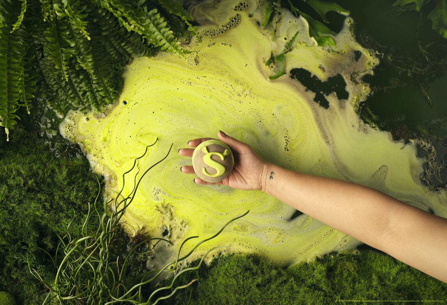 Embracing The “swamp Aesthetic” Lush X Shrek Limited Edition
